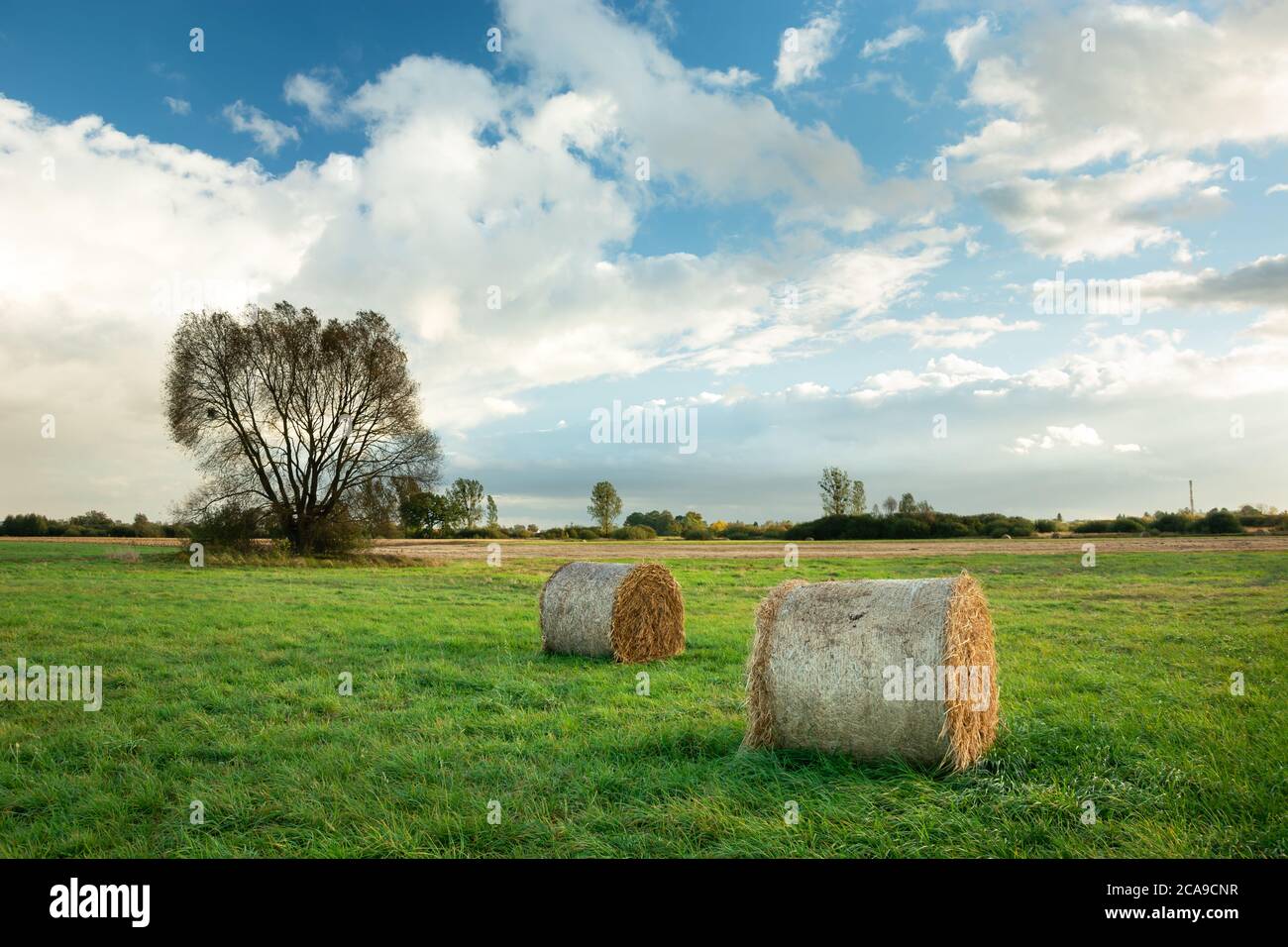 Lonely tree hay bale hi-res stock photography and images - Alamy