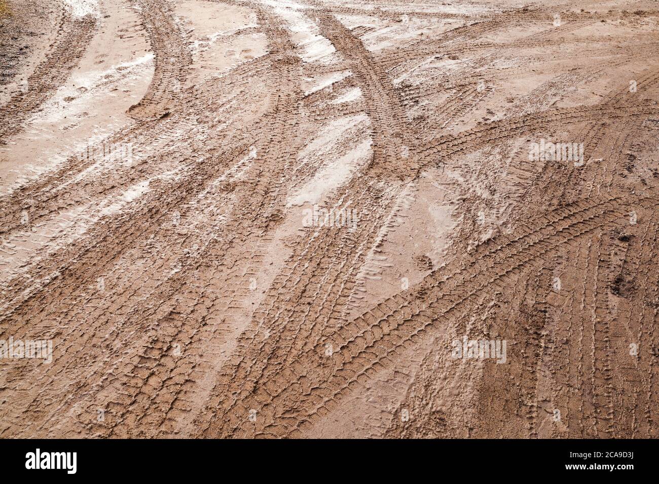 Dirt Road Texture
