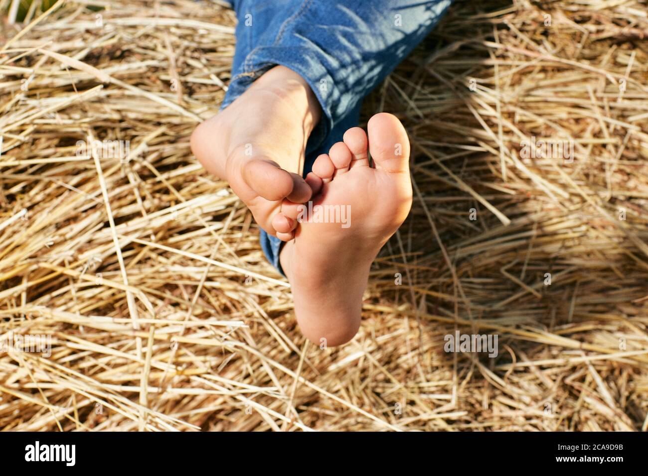 Barefoot Farm High Resolution Stock Photography and Images - Alamy