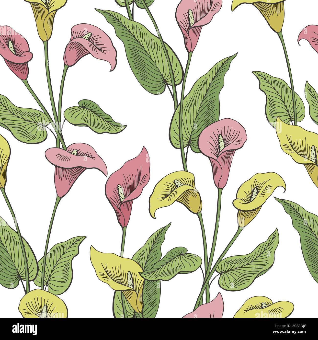 Callas flower graphic color seamless pattern background sketch ...