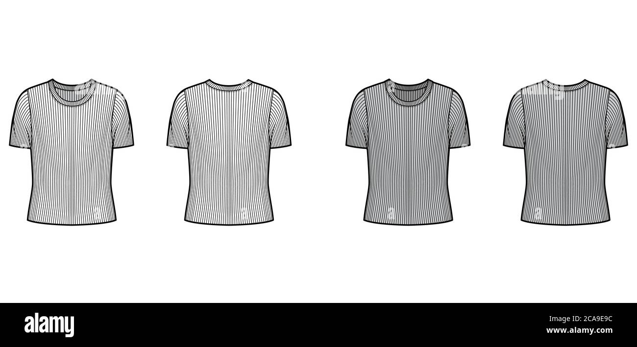 Ribbed crew neck knit sweater technical fashion illustration with short ...