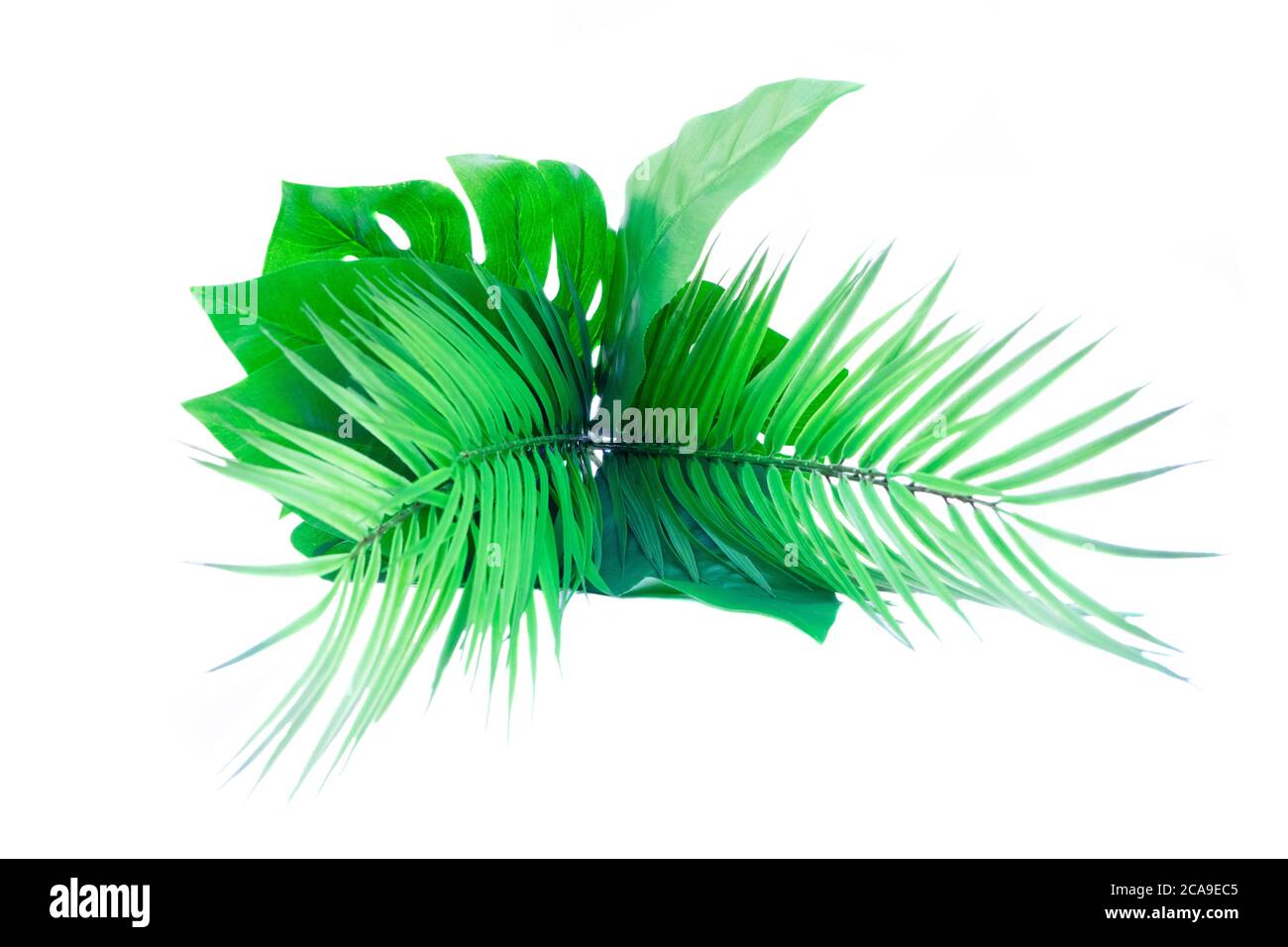 Bunch of fresh leaves Stock Photo - Alamy