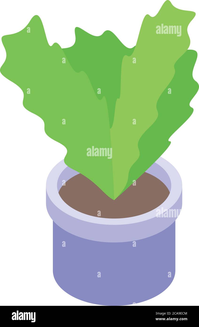 Office plant pot icon, isometric style Stock Vector Image & Art - Alamy