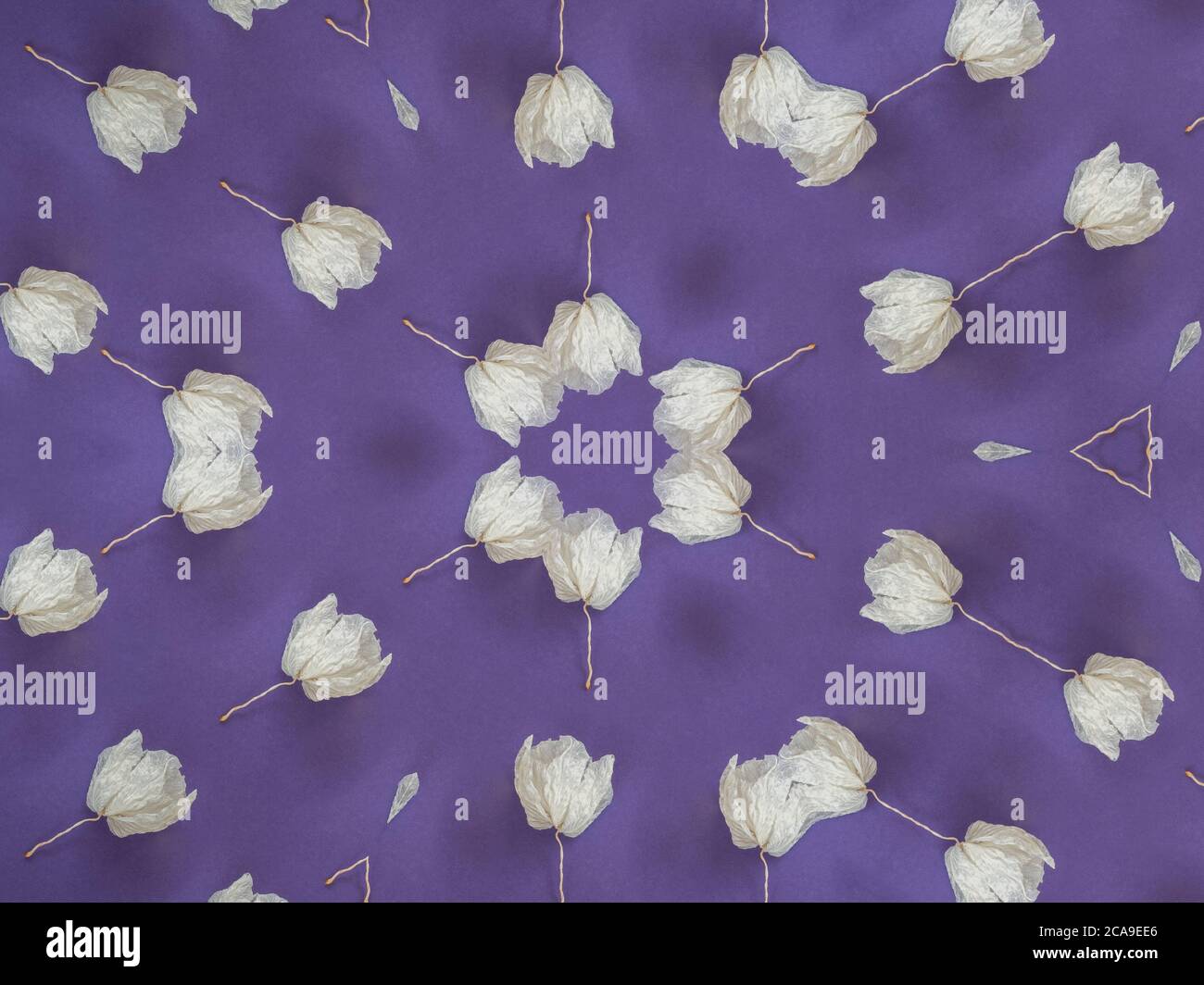 Dray flower hi-res stock photography and images - Alamy