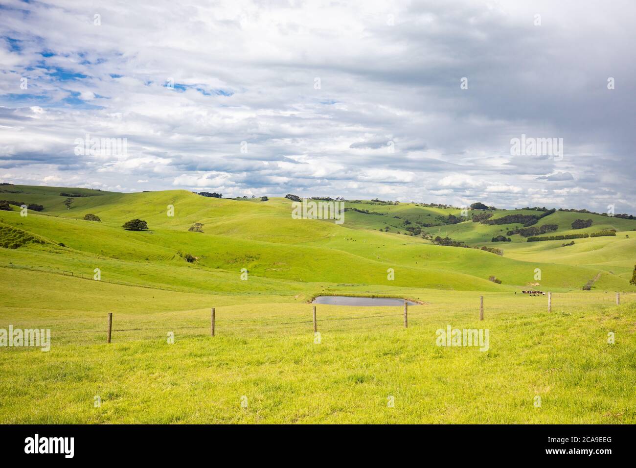 Strzelecki ranges hi-res stock photography and images - Alamy