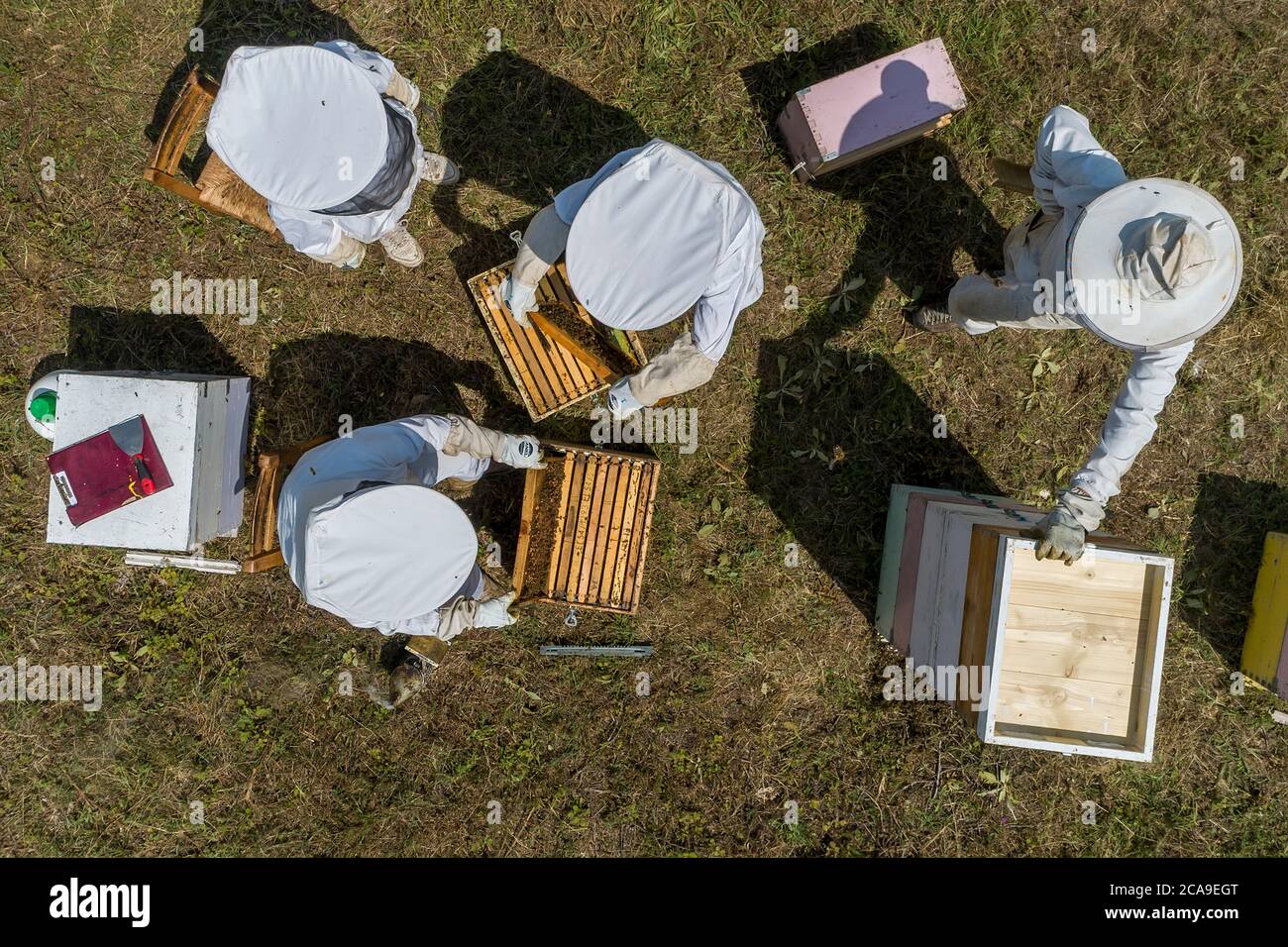 Florina, Greece - July 10, 2020: Beekeepers working to collect honey in ...