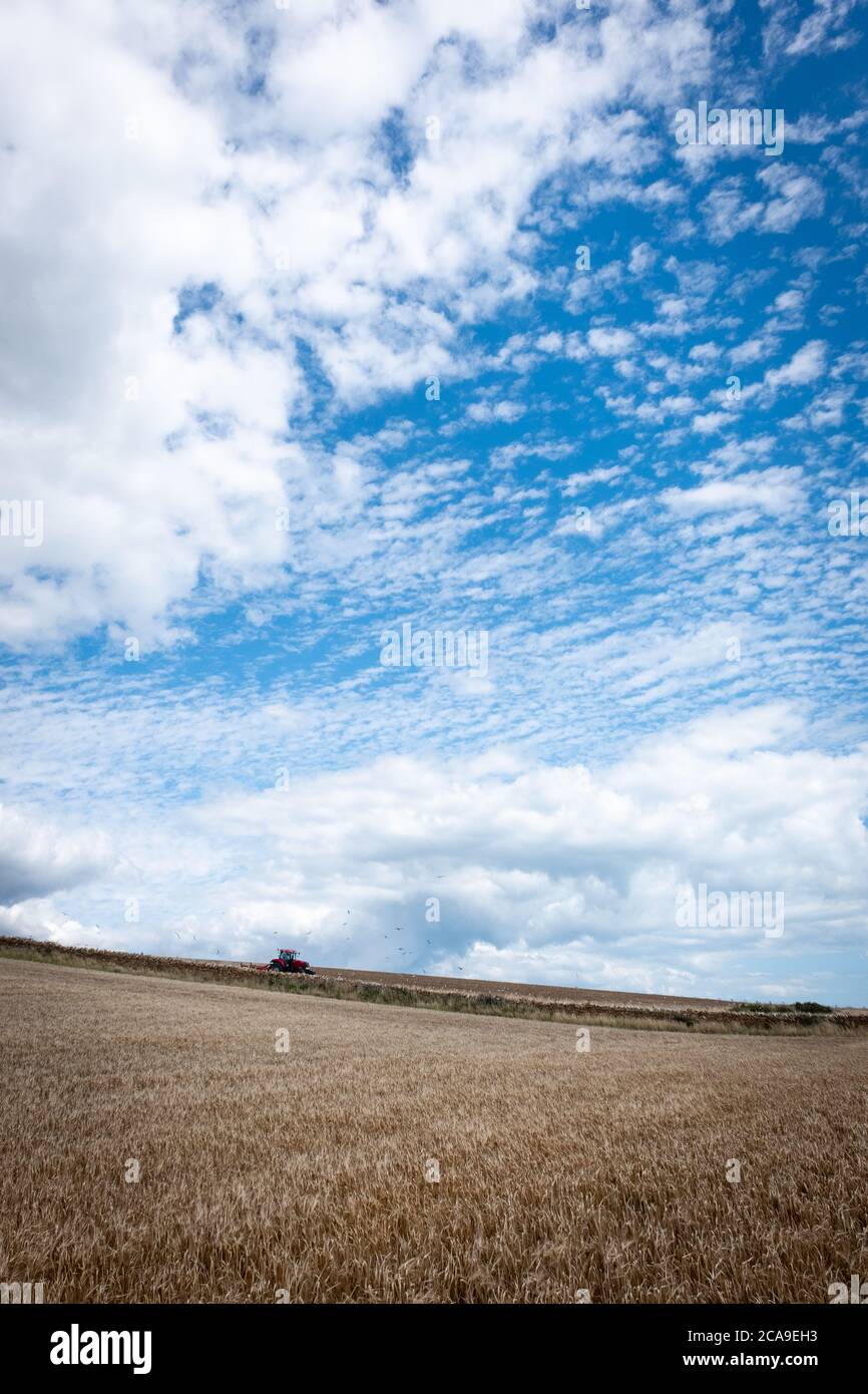 A tractor working fields near Chesil Beach lagoon in Dorset, in England ...