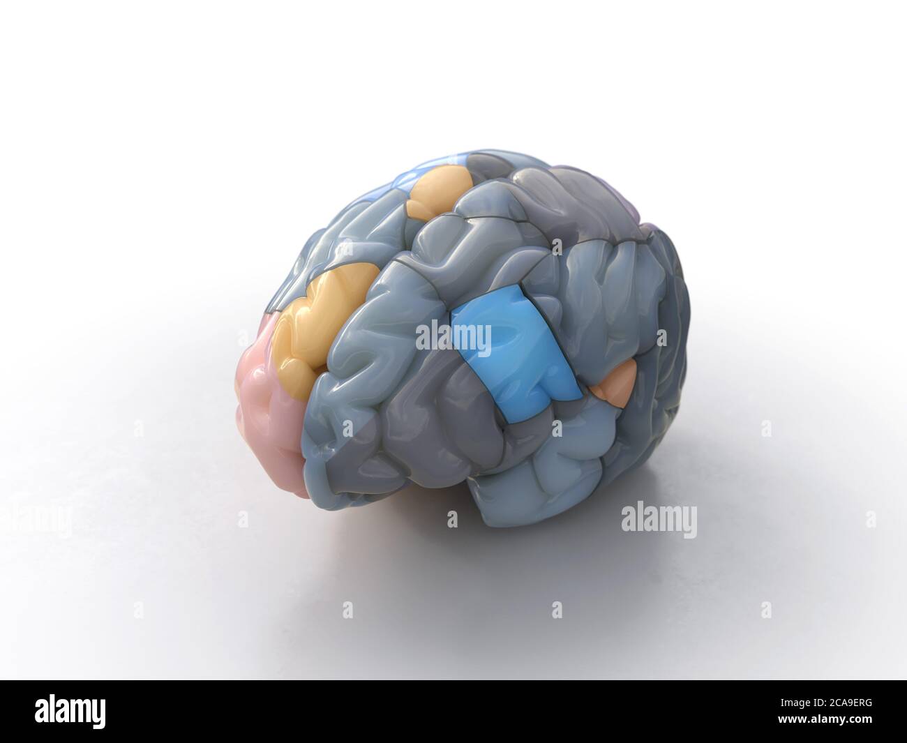 fractured artificial human brain Stock Photo - Alamy