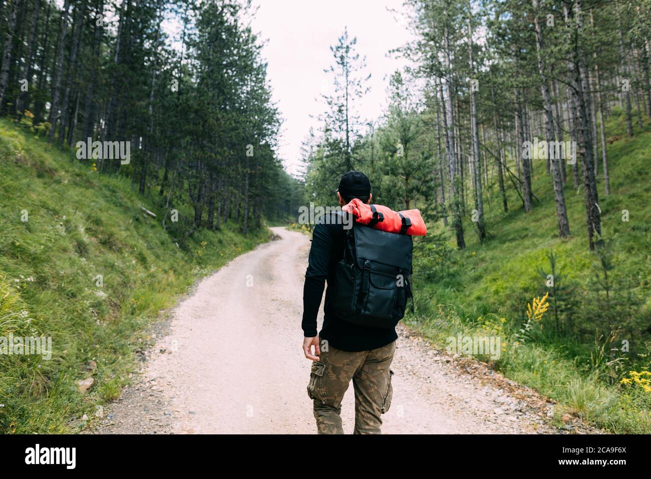 Young male nature explorer walking on the dirt road through the forest ...