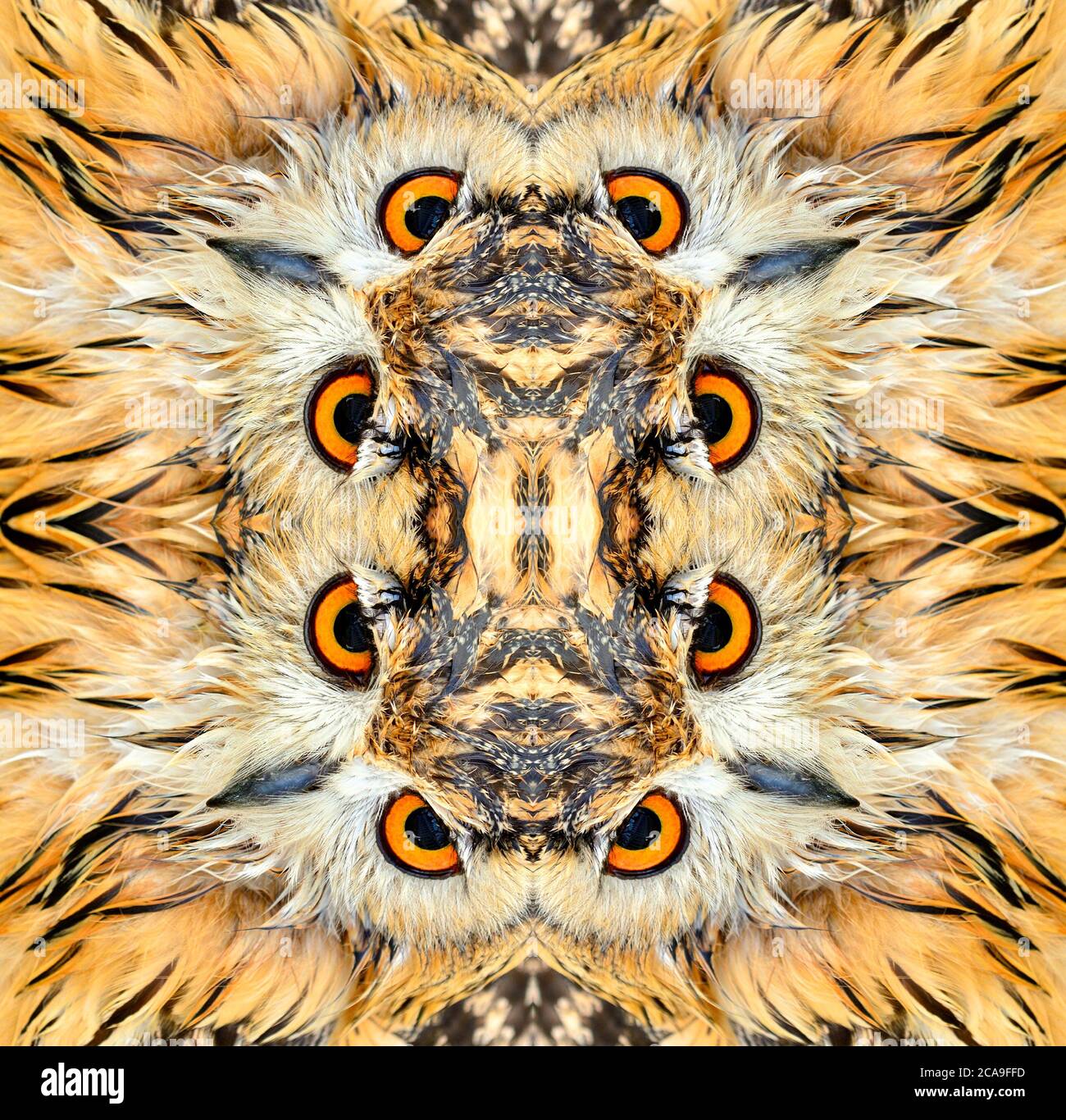 Indian Rock Owl / Indian Eagle-Owl / Rock Eagle-Owl or Bengal Eagle-Owl ...