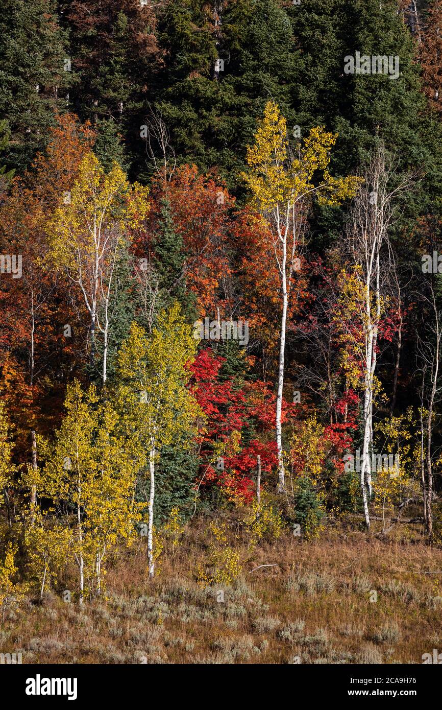 Uinta range hi-res stock photography and images - Alamy