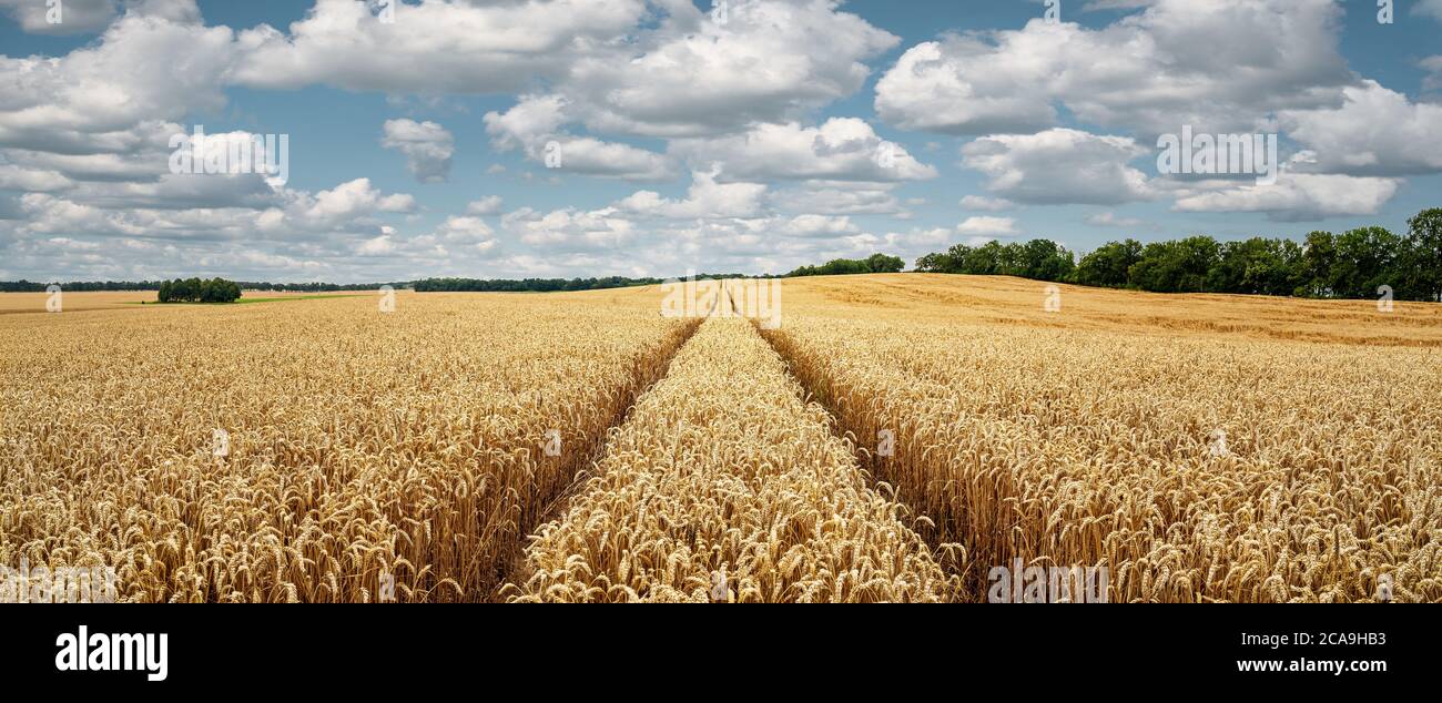 Rural background hi-res stock photography and images - Alamy