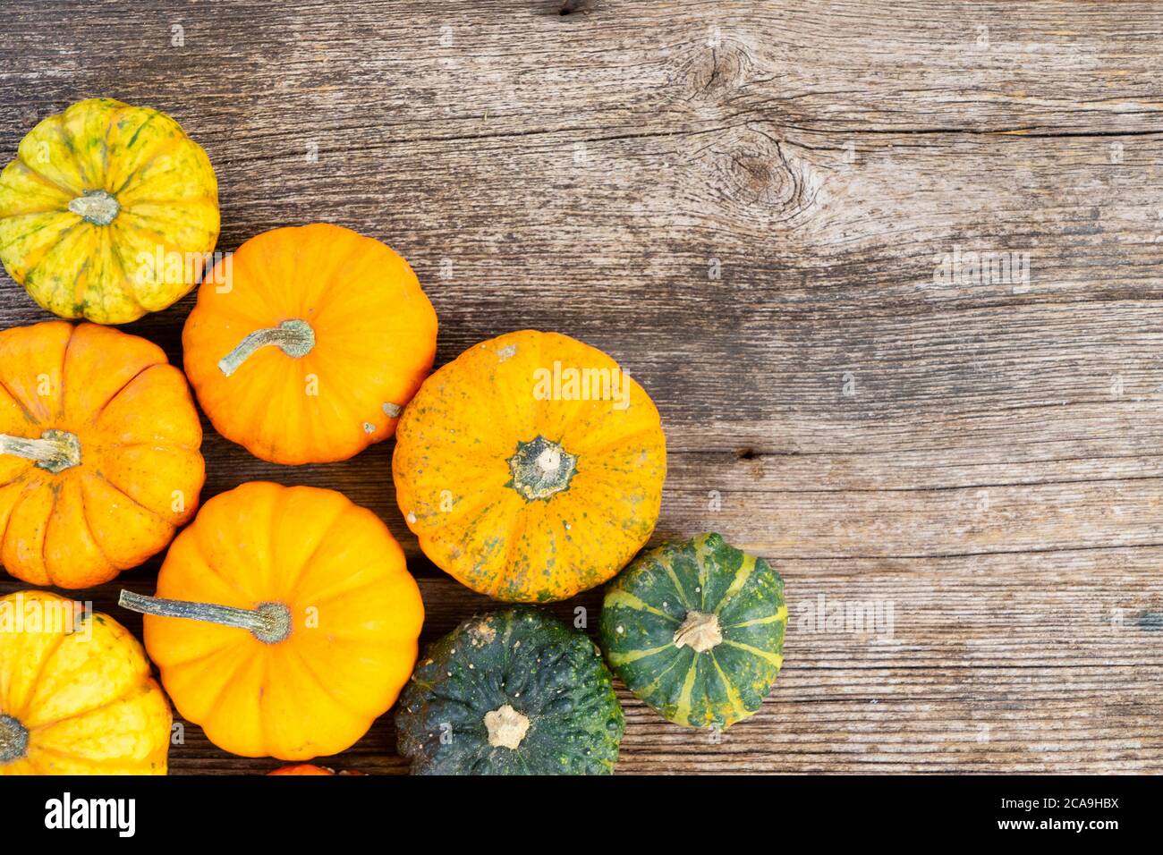 pumpkin on table Stock Photo - Alamy