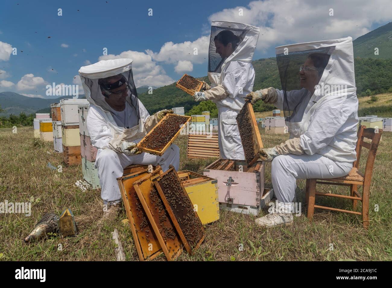 Florina, Greece - July 10, 2020: Beekeepers working to collect honey in ...