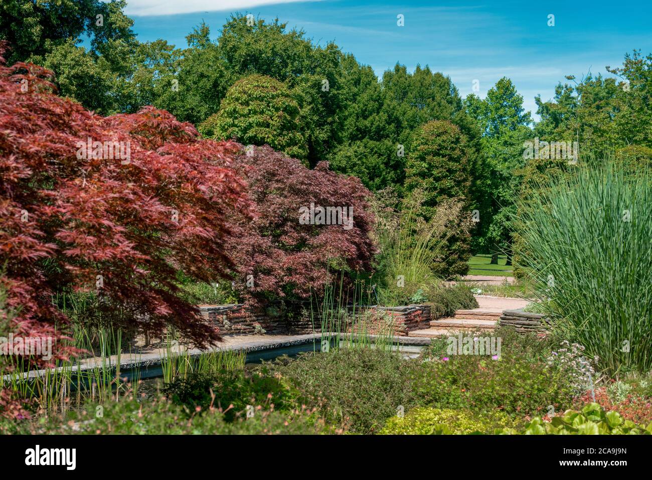 formal rectangular walled garden with a pond and red acer trees Stock ...