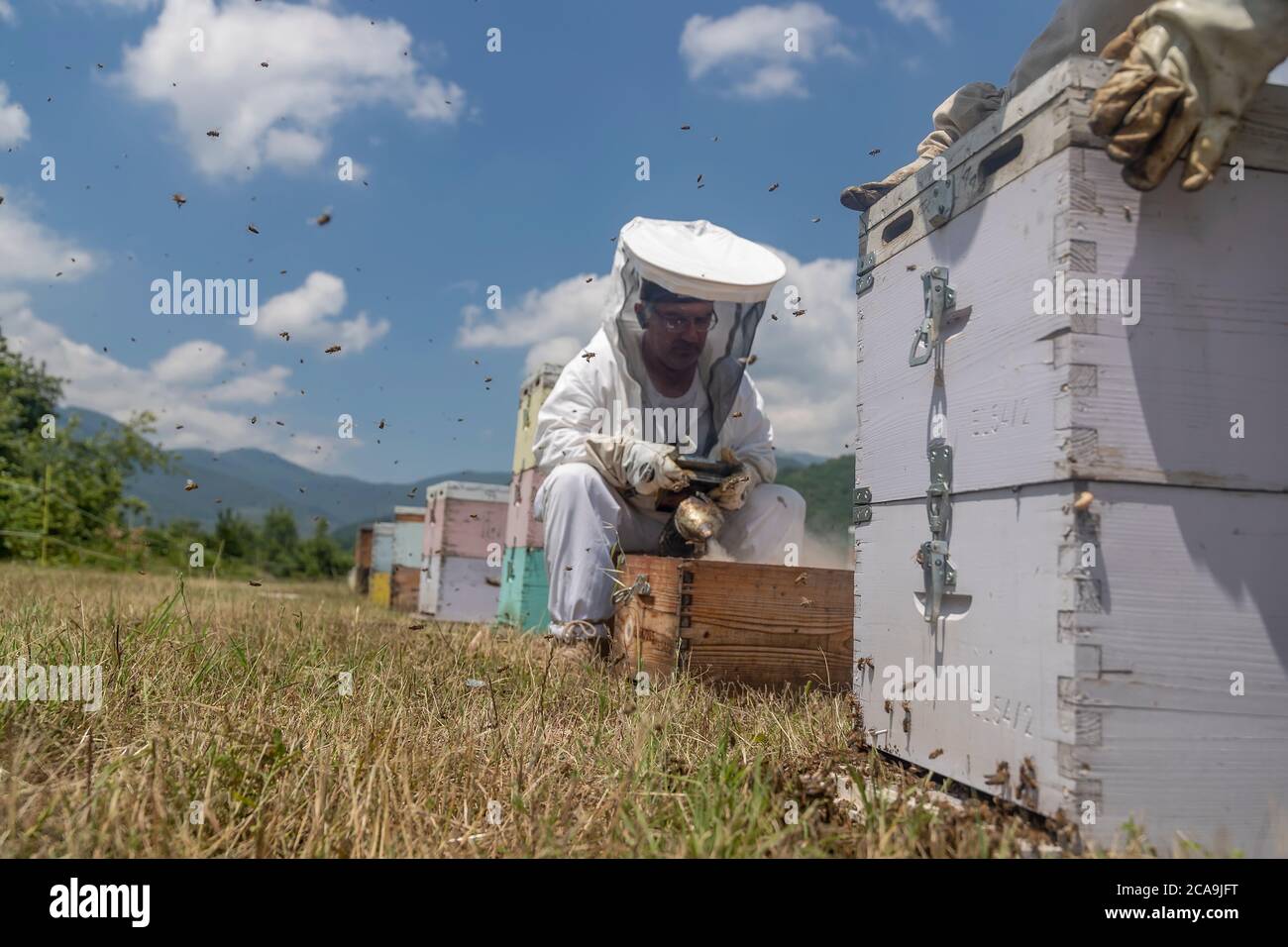 Florina, Greece - July 10, 2020: Beekeepers working to collect honey in ...