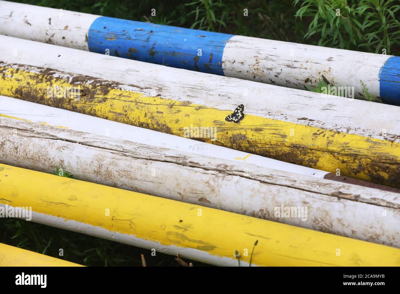 Little butterfly flew onto show jumping obstacle Stock Photo - Alamy