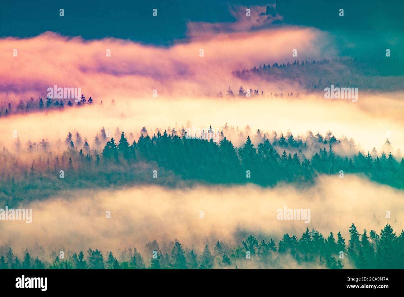 Colorful autumn misty forest. Misty morning in Saxon Switzerland ...