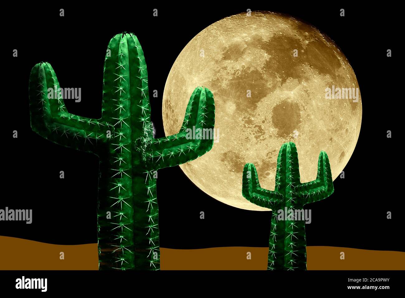 Two cactus plants in the desert at night with black sky and a large ...
