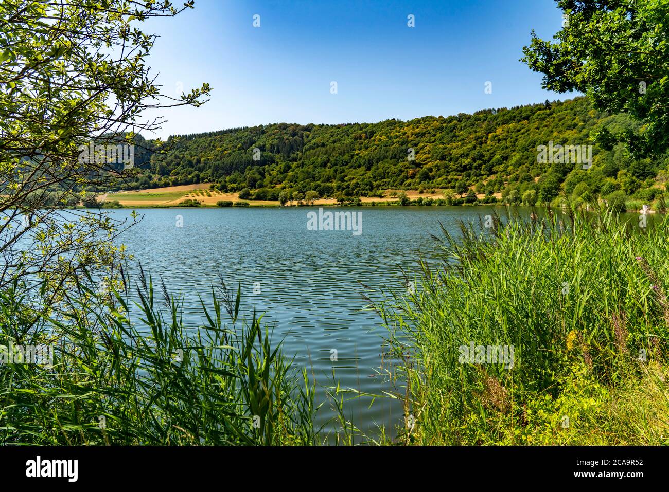 Meerfelder Maar, Vulkaneifel, vulcanic lake, Eifel, Rhineland ...