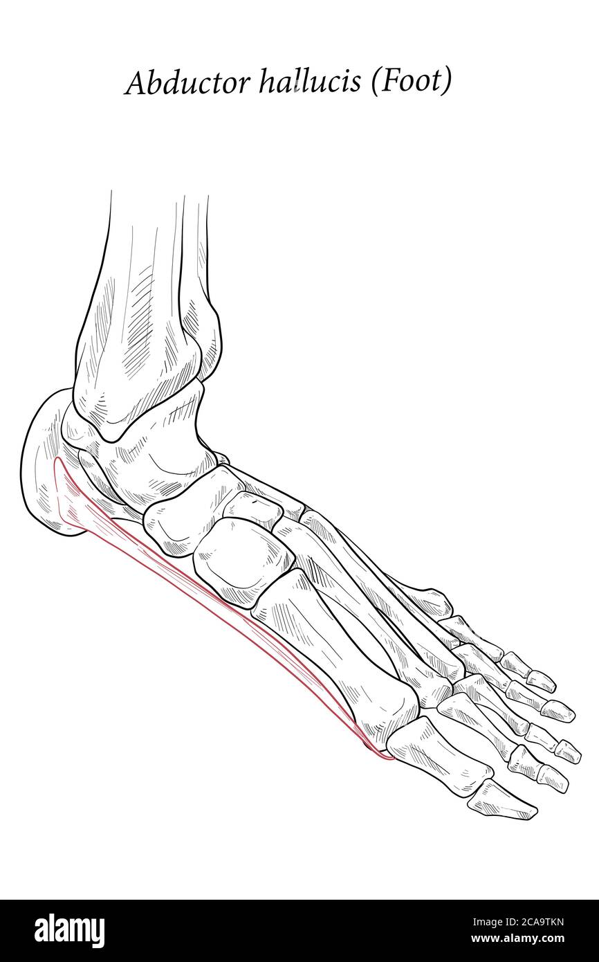 Pain gym injury Stock Vector Images - Alamy