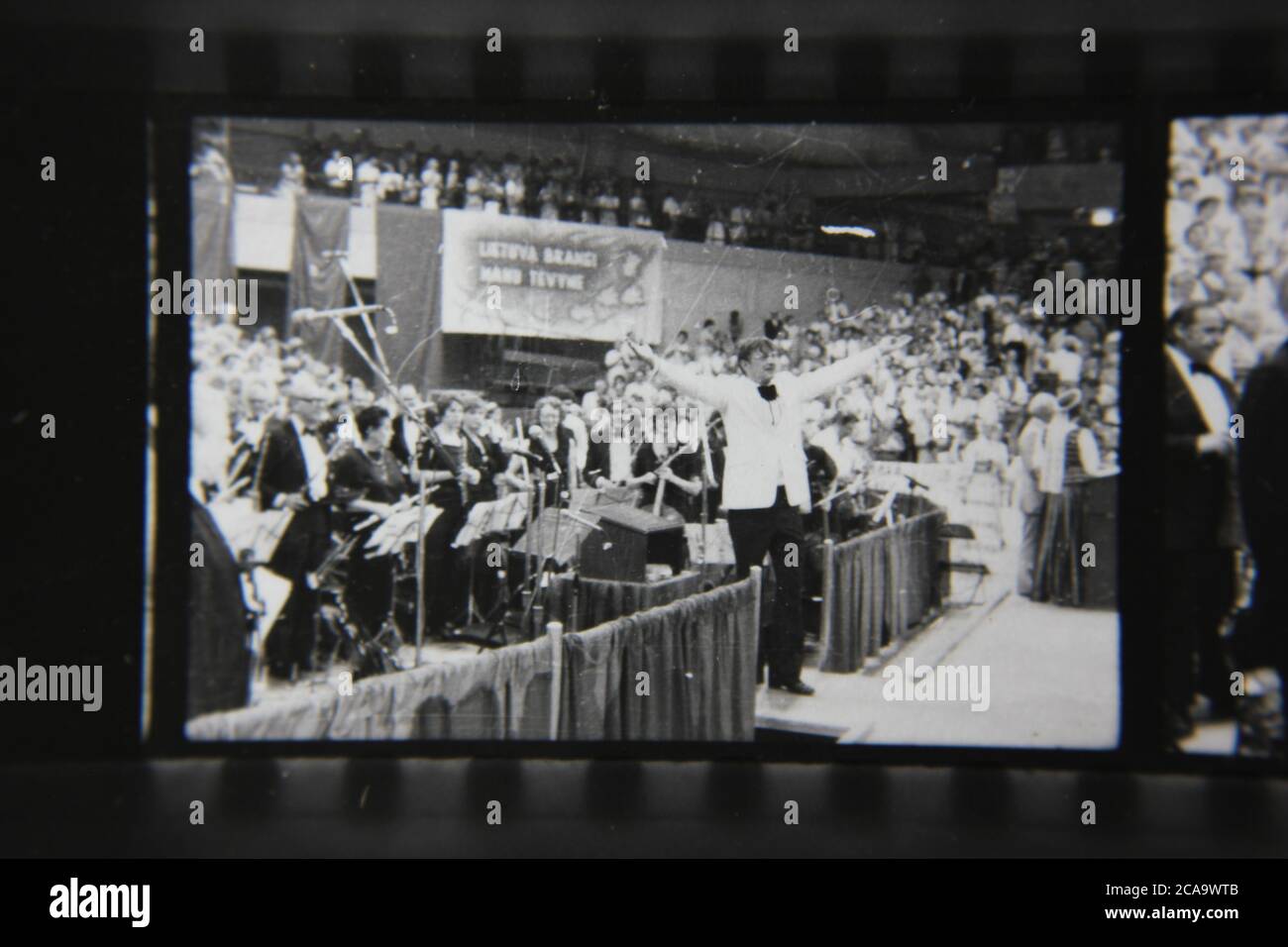 1970s crowd at concert hi-res stock photography and images - Alamy