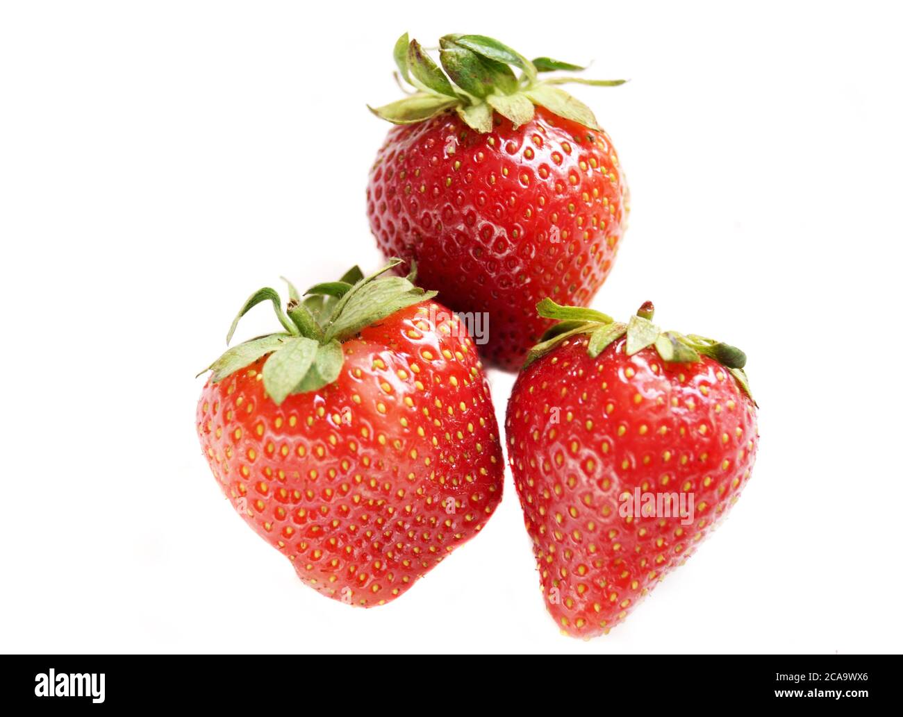 Amber flower hi-res stock photography and images - Alamy