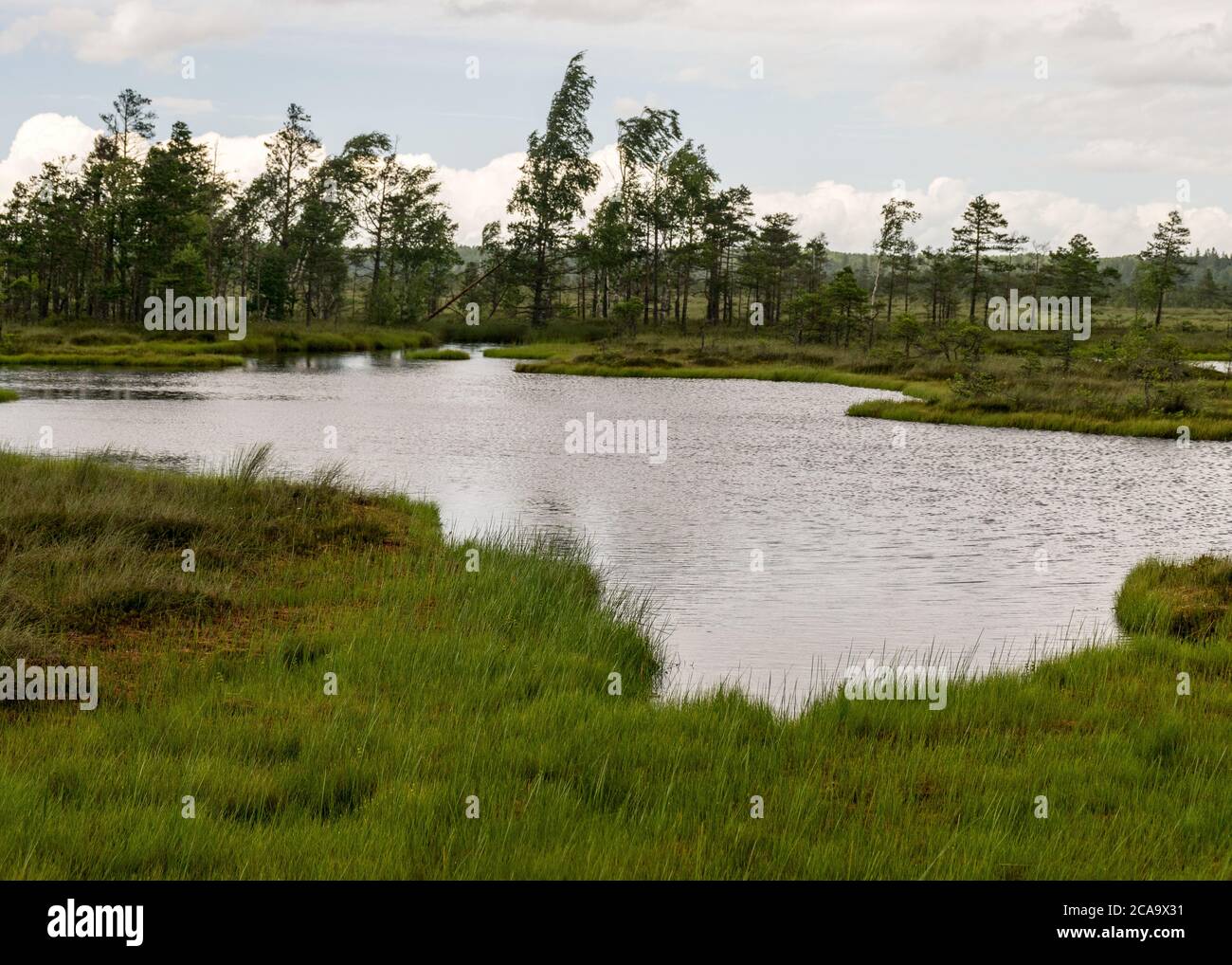 landscape with stunning bog views. beautiful clouds. View of the ...
