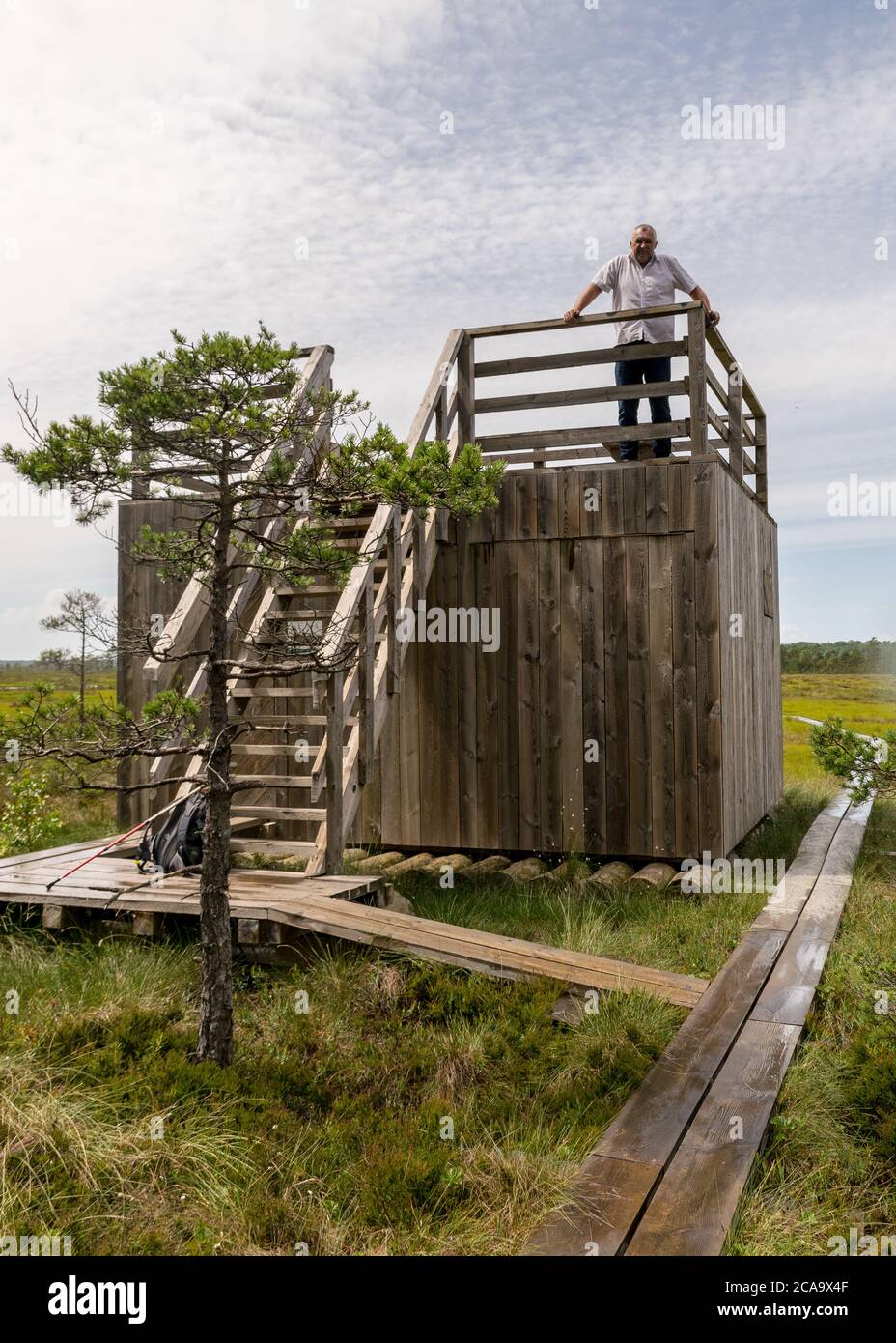 landscape in the summer swamp. a man in a white shirt at the lookout ...