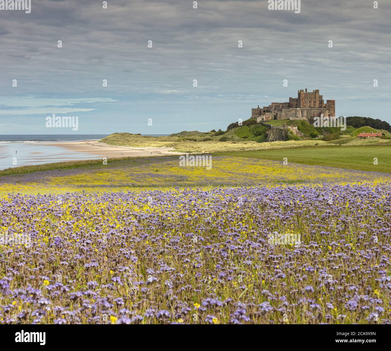 Bamburgh Castle on the Northumberland coastline Stock Photo - Alamy