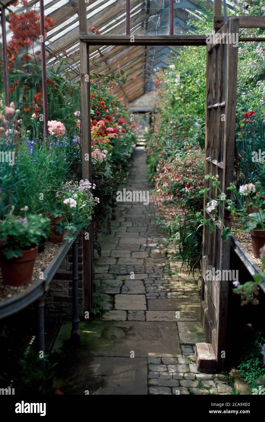 Paved path inside greenhouse Stock Photo - Alamy