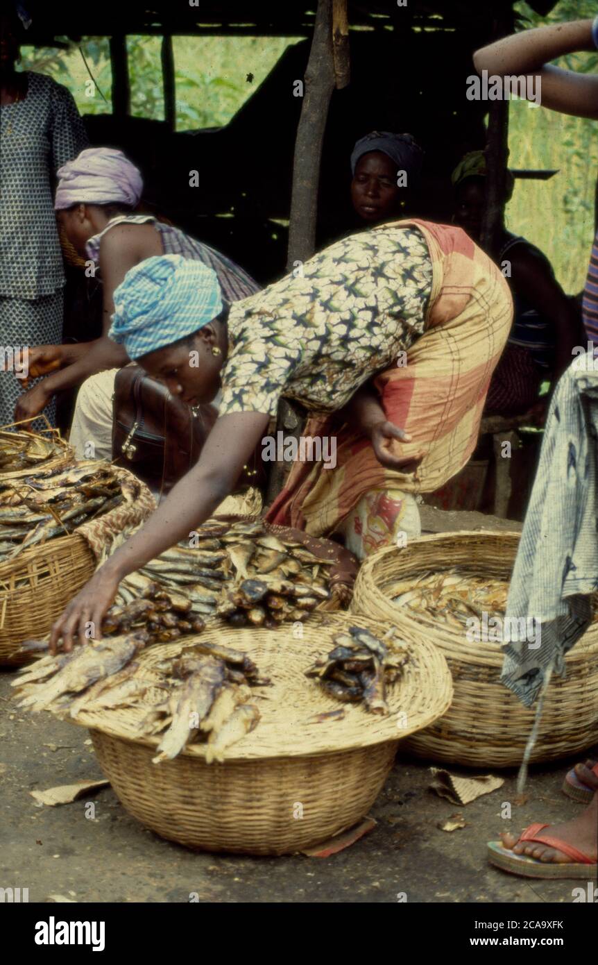 Woman selling fish in Indian market Stock Photo - Alamy
