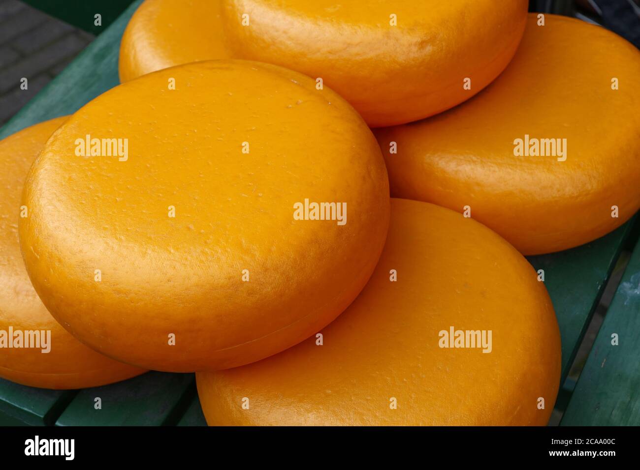 Close up big yellow wheels of hard matured gouda Dutch cheese, high ...