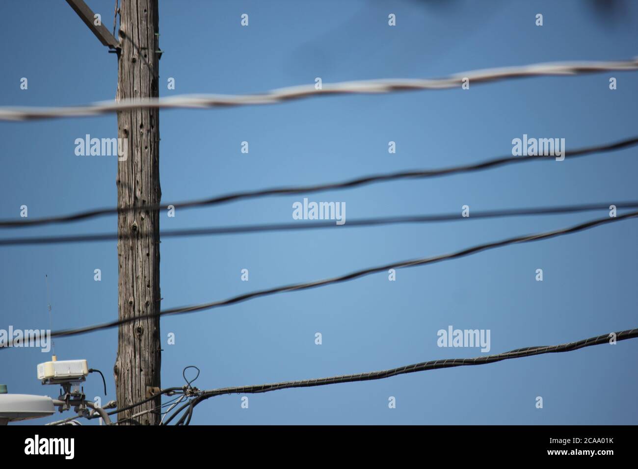 Bunch of electrical and power utility wires hanging in the backyard ...