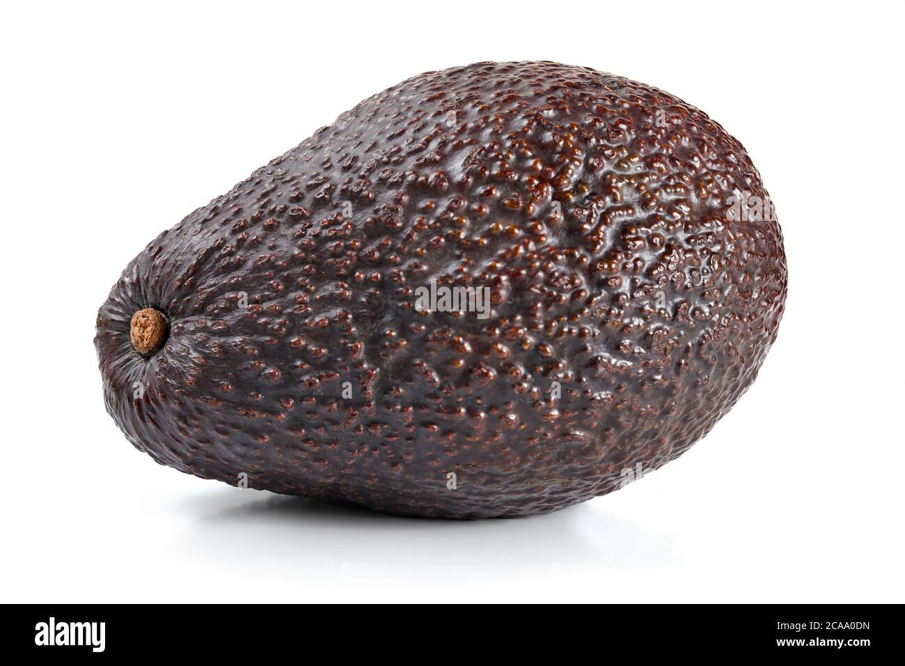 Single dark brown ripe avocado (bilse variety) isolated on white ...
