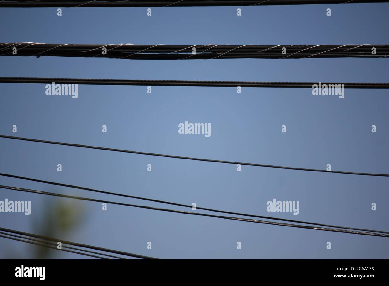Bunch of electrical and power utility wires hanging in the backyard ...