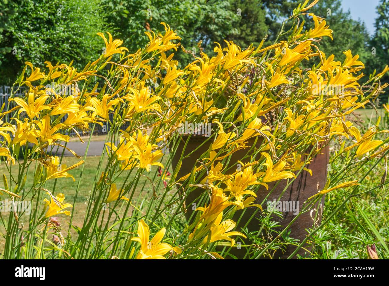 Lean over hi-res stock photography and images - Alamy