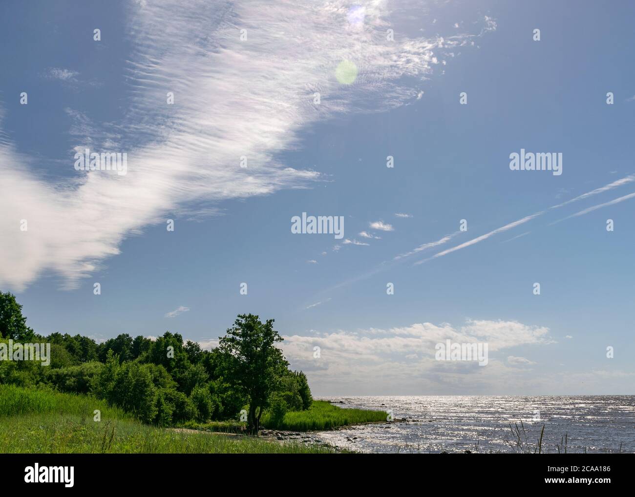 sunny summer landscape with expressive white clouds, the Baltic Sea ...