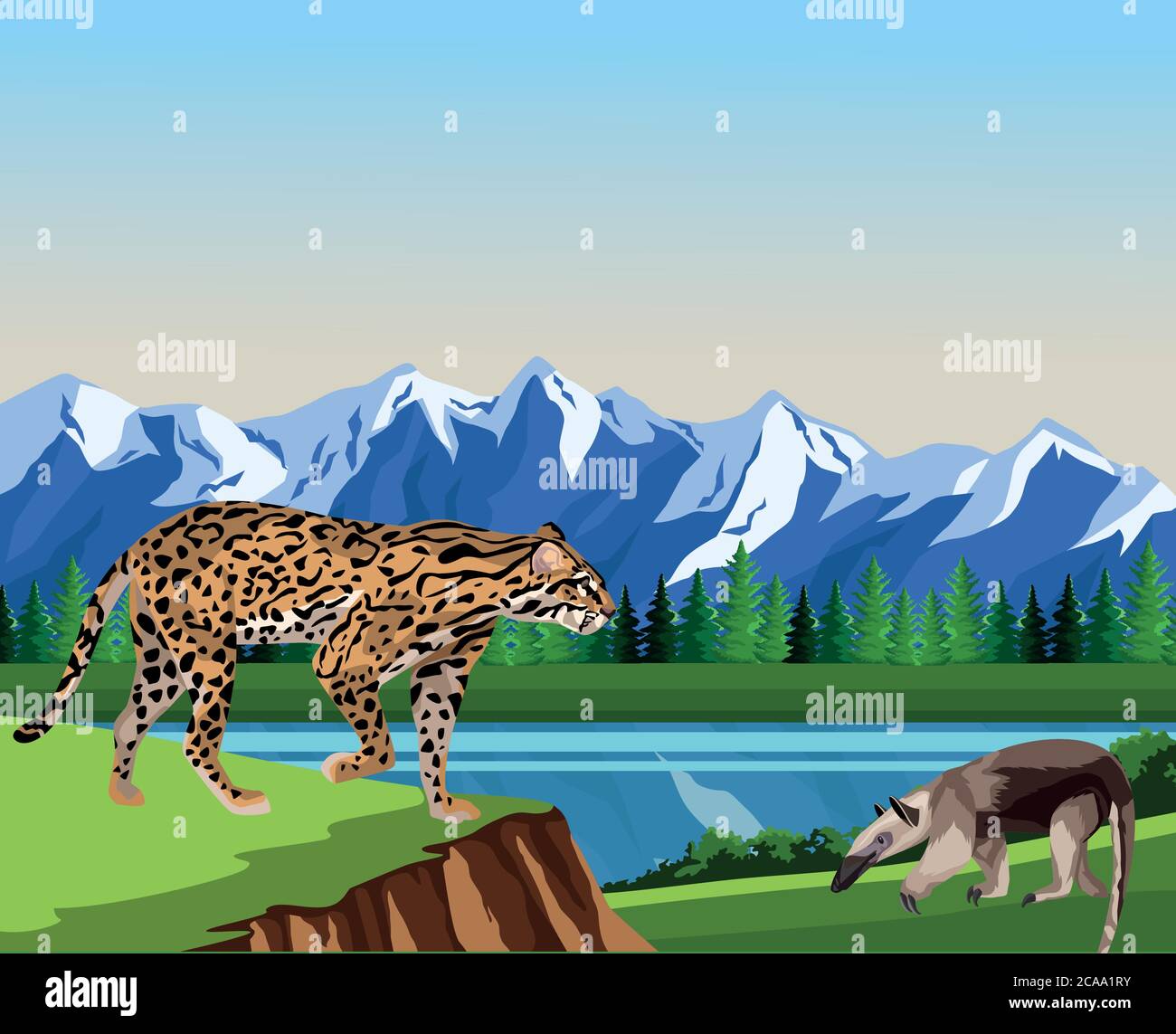 wild anteater and leopard animals in the camp scene vector illustration ...