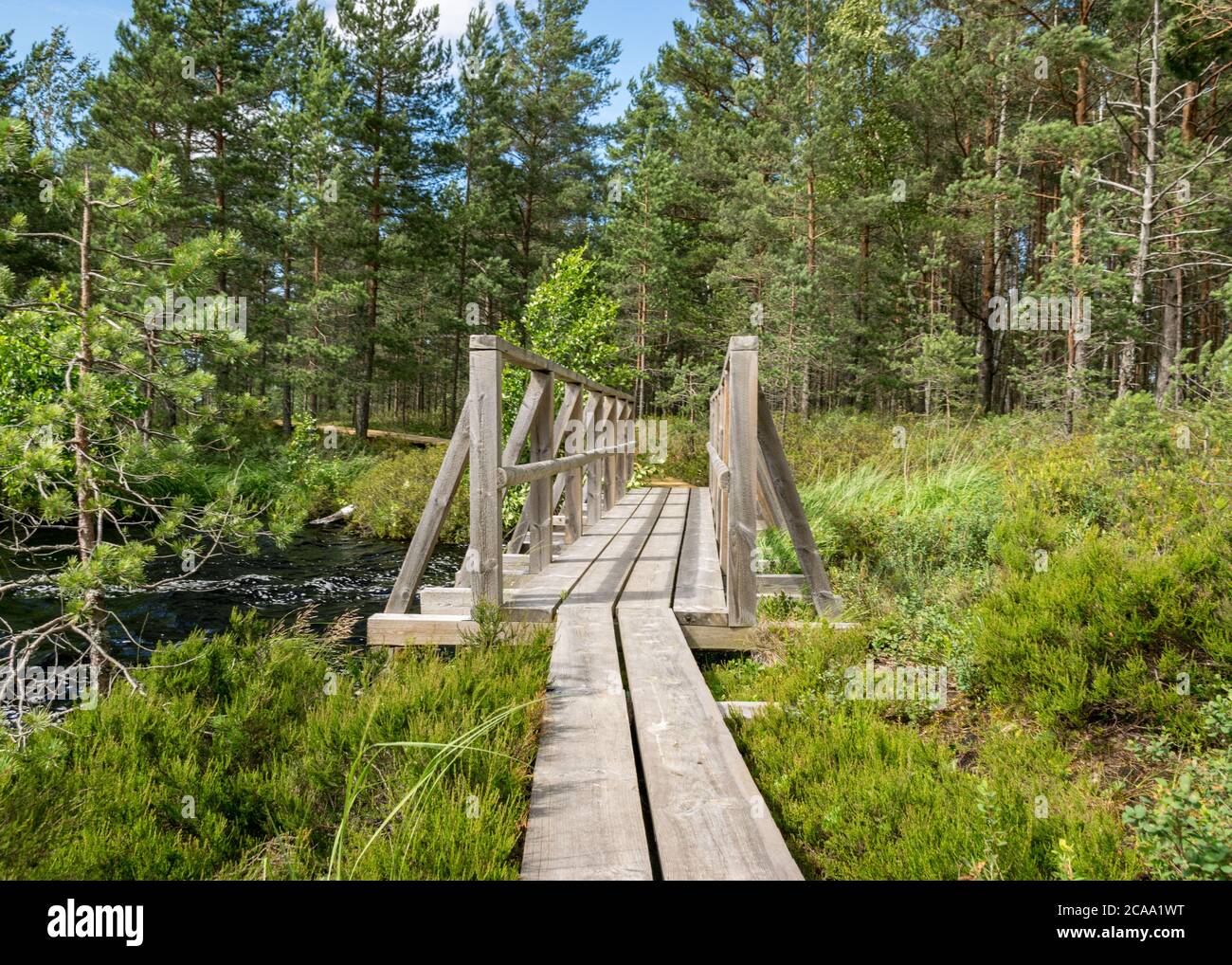 windy landscape with a swamp lake, a wooden pedestrian bridge, the lake ...