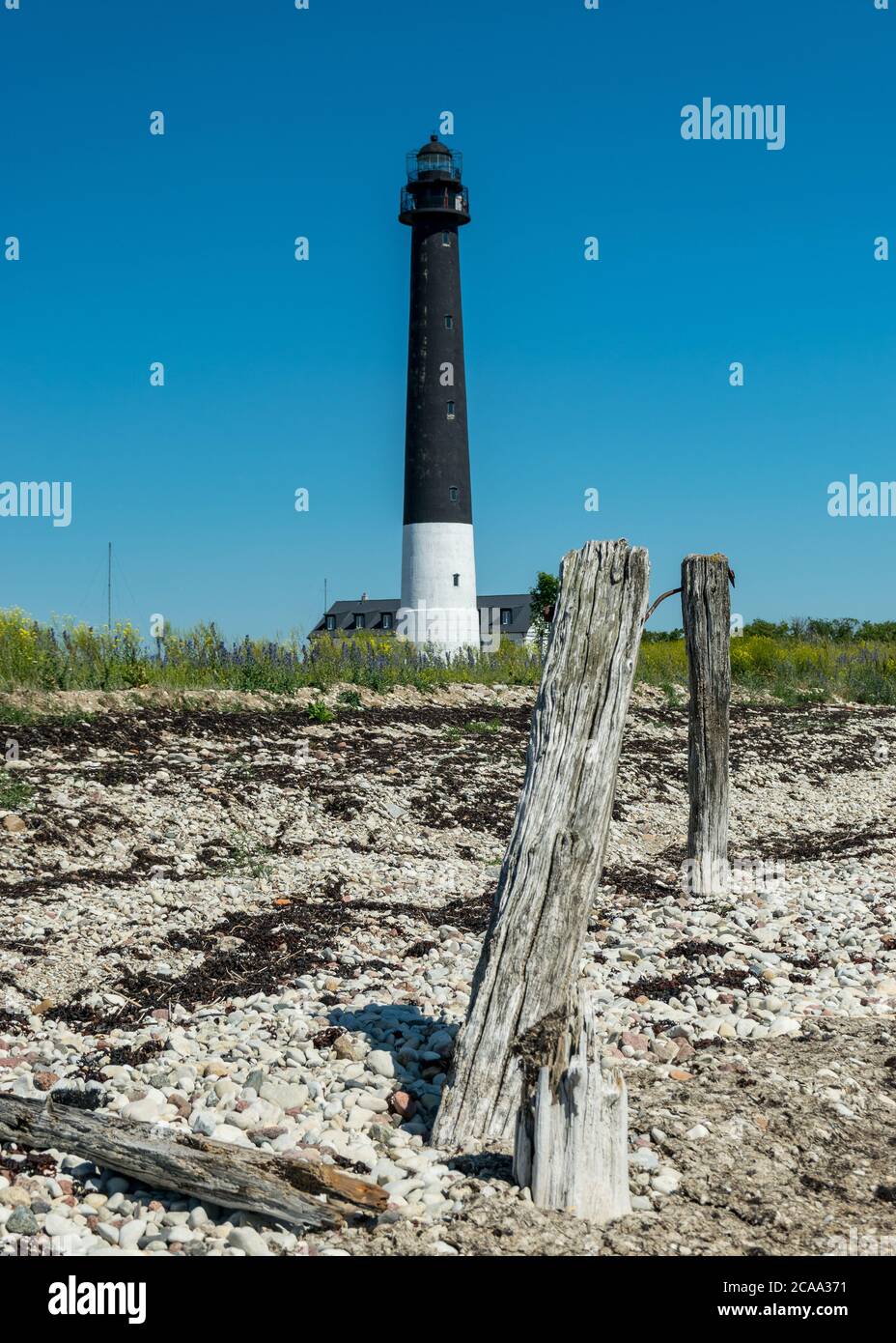 beautiful sightseeing of Saaremaa island in sunny clear day . Sorve ...