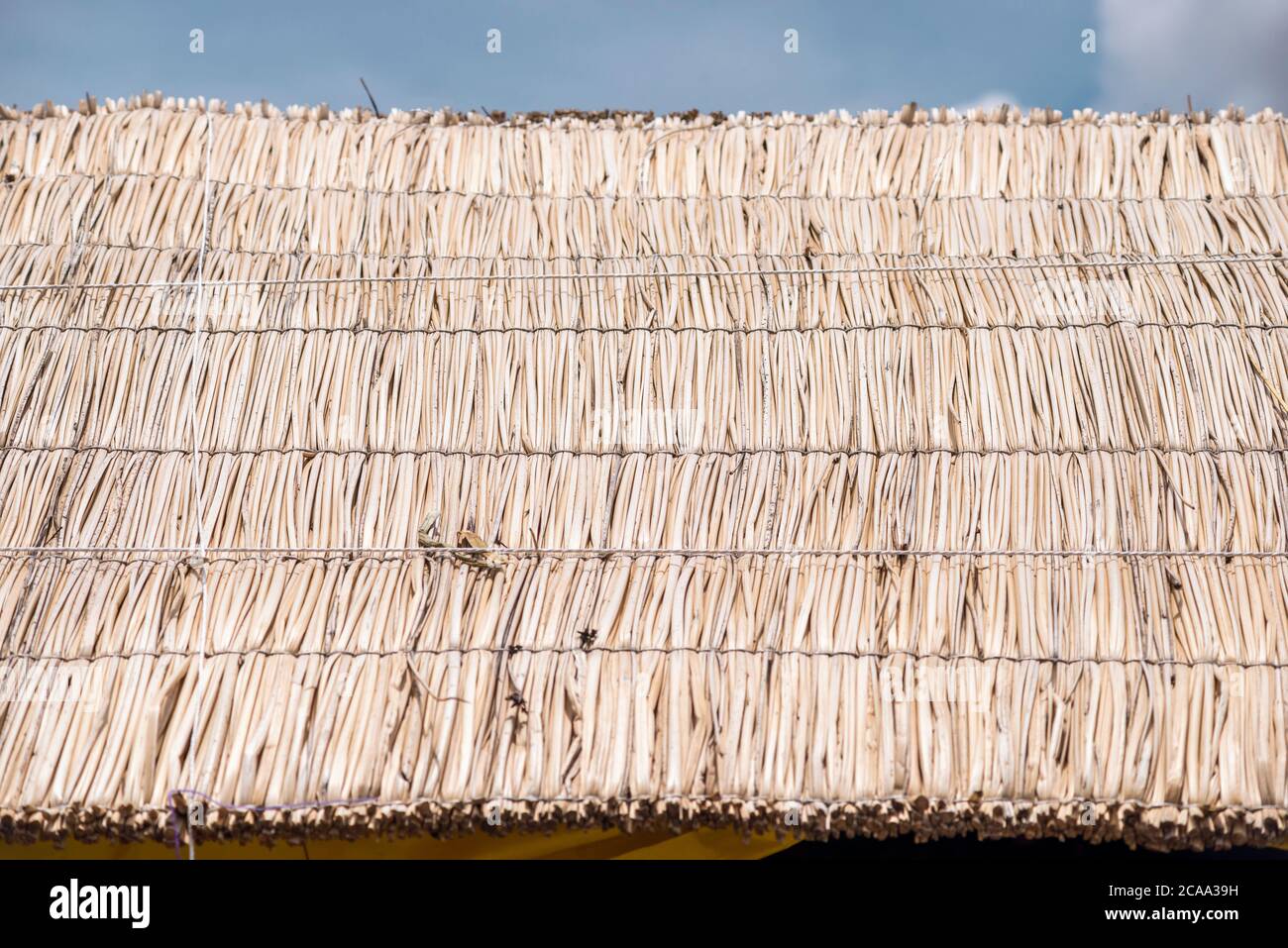 dry reed roof background from floating Uros islands of lake Titicaca in ...