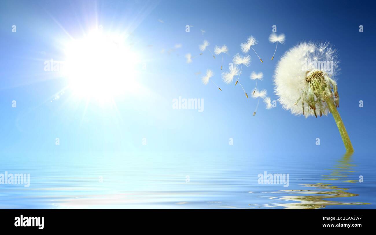 Beautiful dreamy spring nature background with dandelion Stock Photo ...