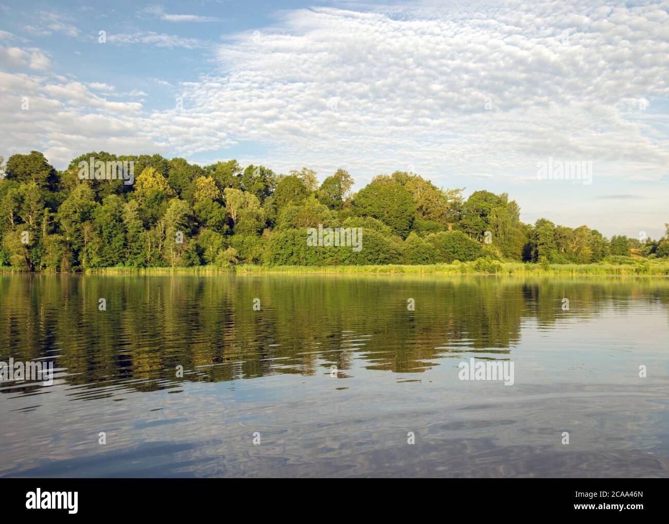 beautiful summer morning landscape on the lake, beautiful clouds and ...