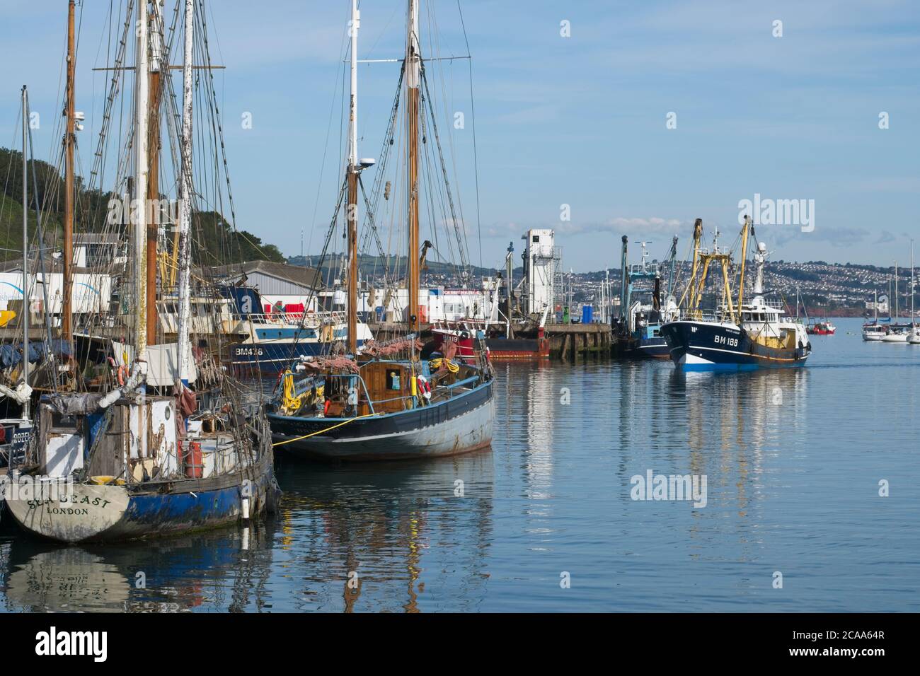 Brixham Trawler BM188 Sam of Ladram returning to port Frontal view ...