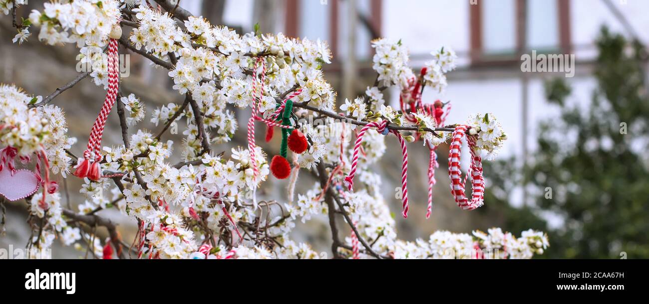 White and red Bulgarian Martenitsa bracelets, hanging on the branch of ...