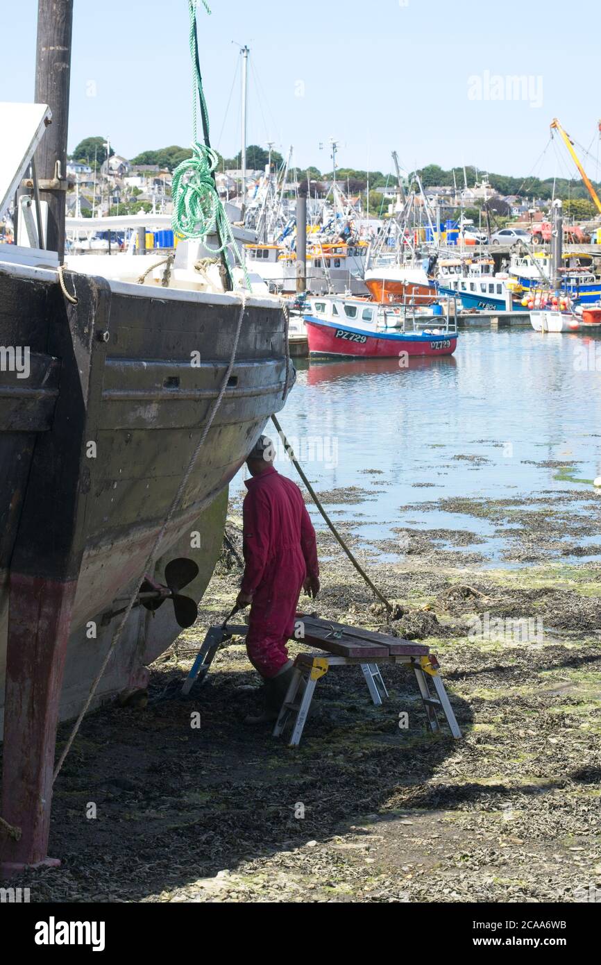 Newlyn Old Harbour Traditional Lugger being restored Man cleaning side ...