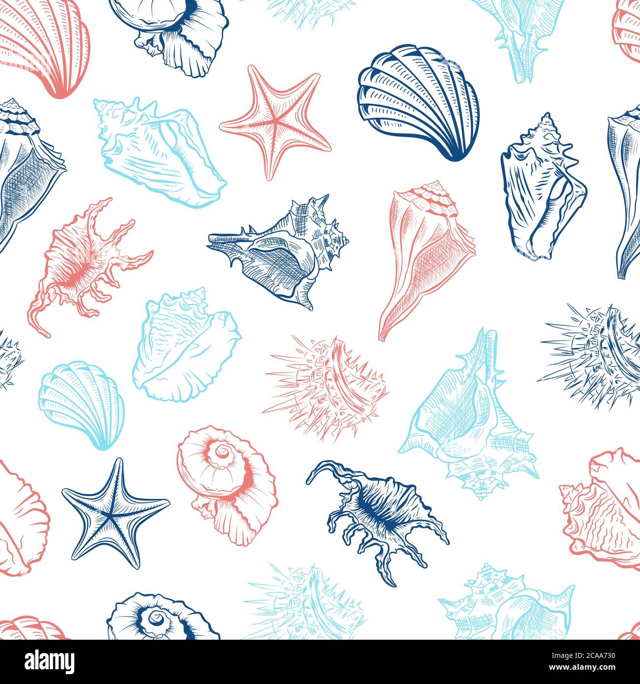 Starfish drawing hi-res stock photography and images - Alamy