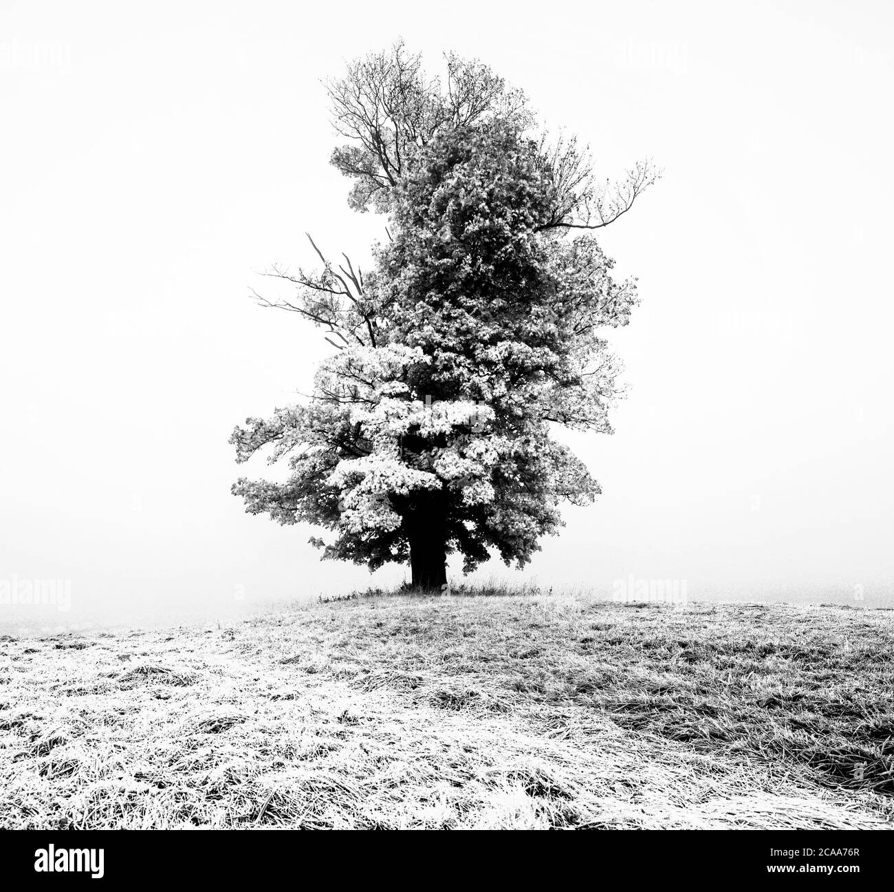 Best p Black and White Stock Photos & Images - Alamy