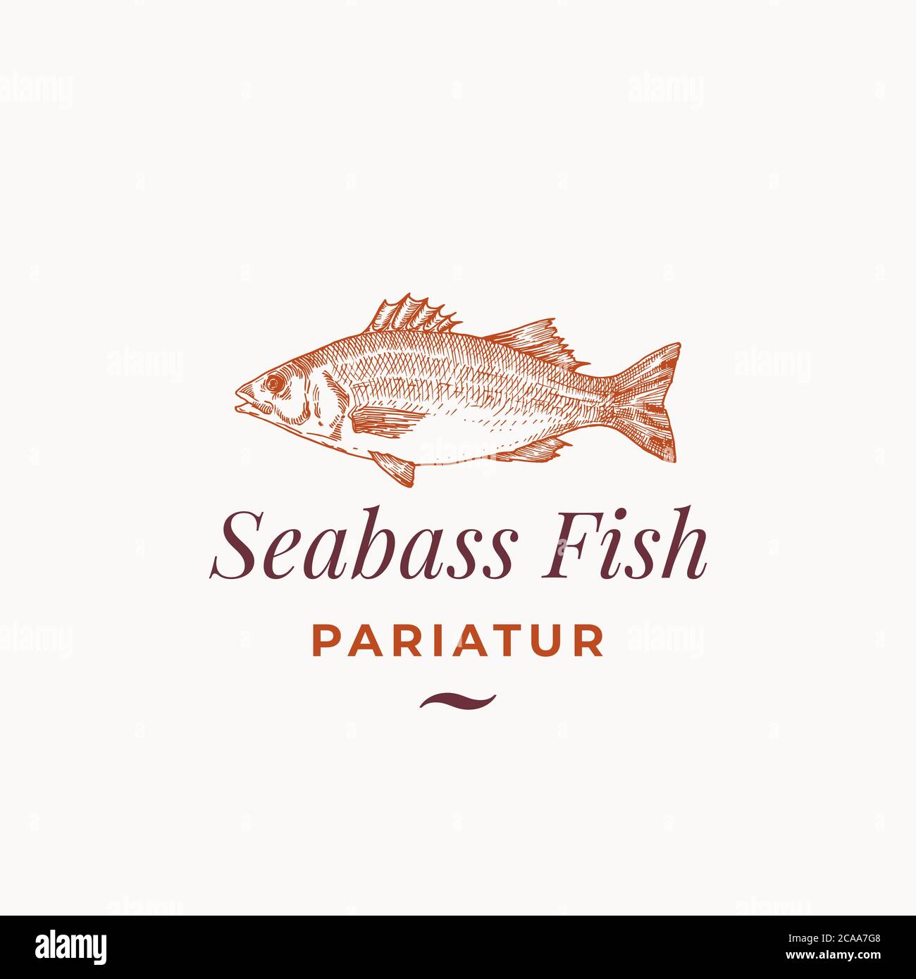 Seabass Fish Abstract Vector Sign, Symbol or Logo Template. Hand Drawn ...